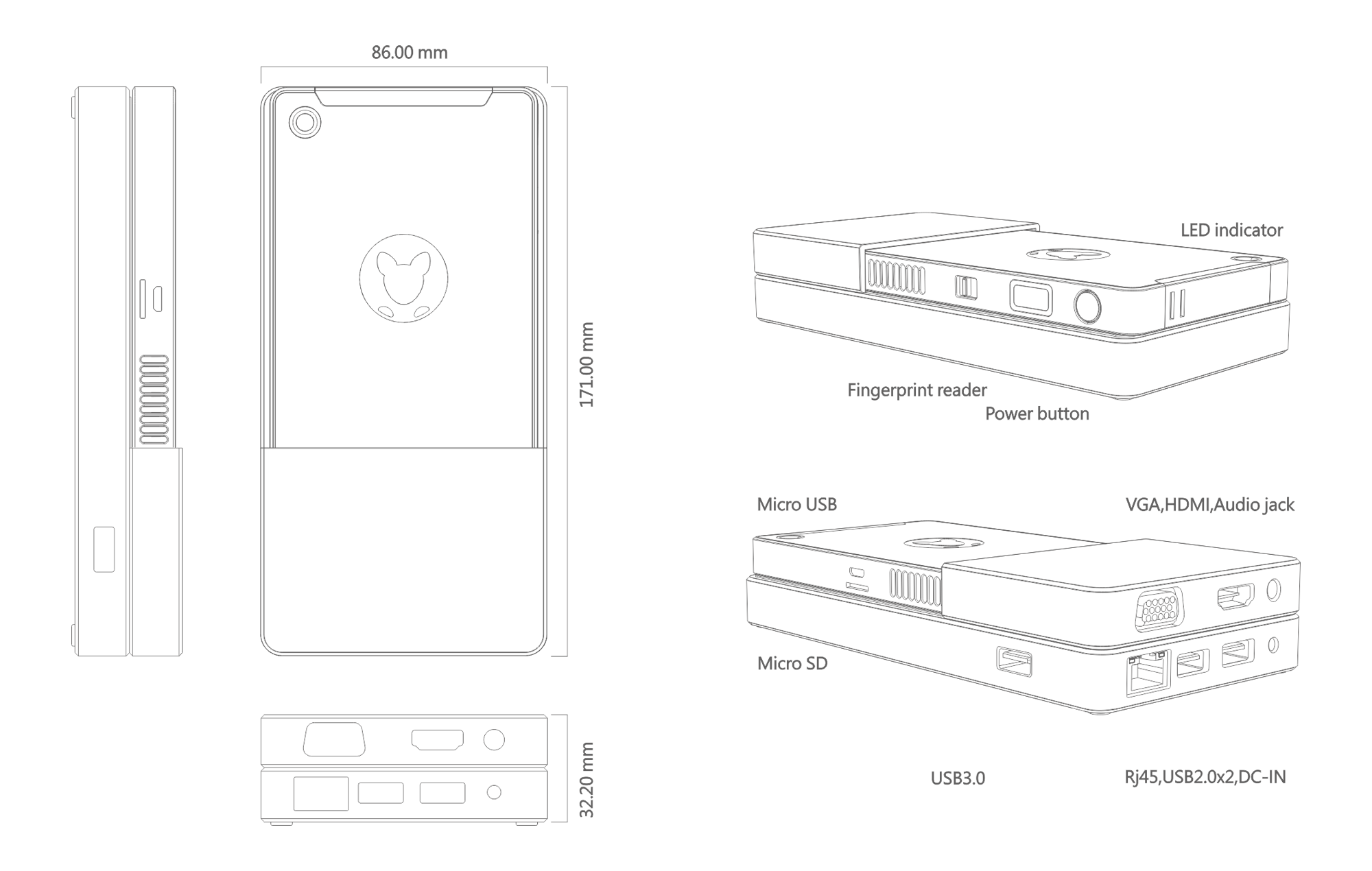 Kangaroo_pro_outline-2000px1 - Specialization is for insects